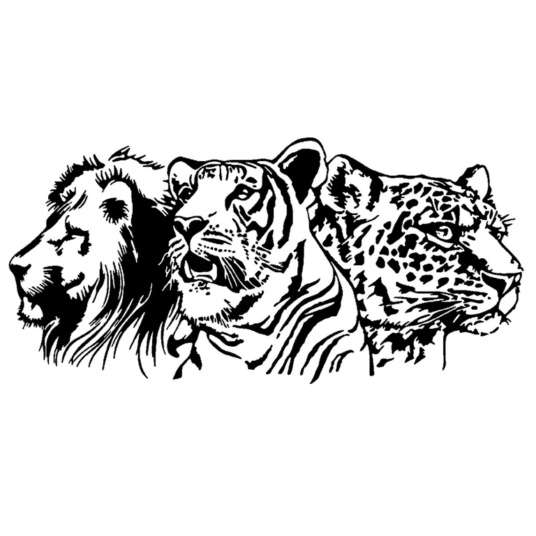 3 Félins Motif Thermocollant - ANIMAUX/ANIMAUX SAUVAGES - Flex Textile