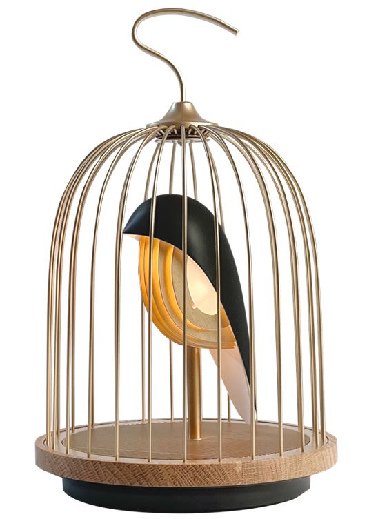 Jingoo Noir Cage Or - JINGOO - DAQI Store - En promotion