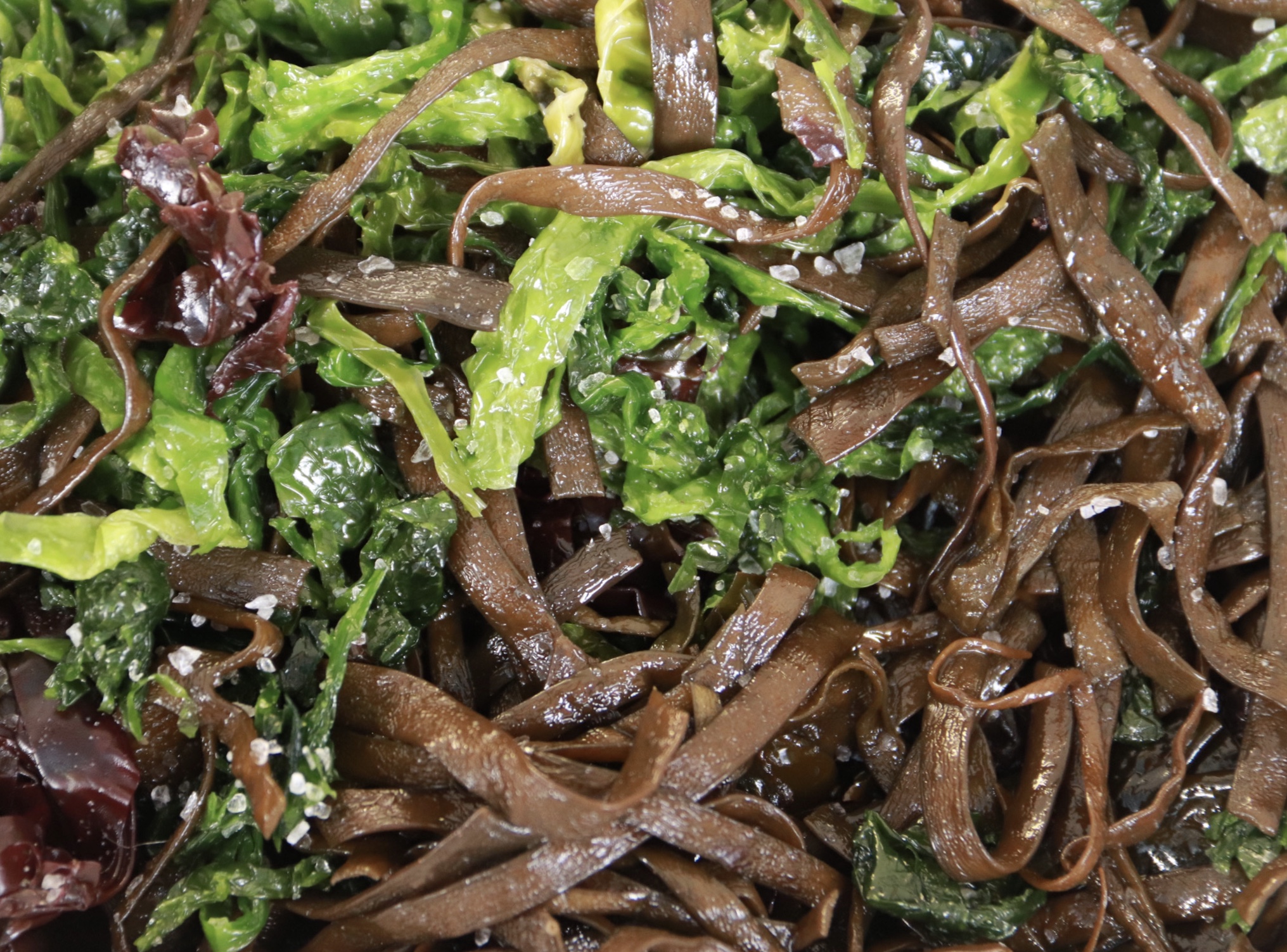 PANACHÉ D'ALGUES - ALGUES COMESTIBLE ET VÉGÉTAUX MARINS - LA PAYSANNE ...