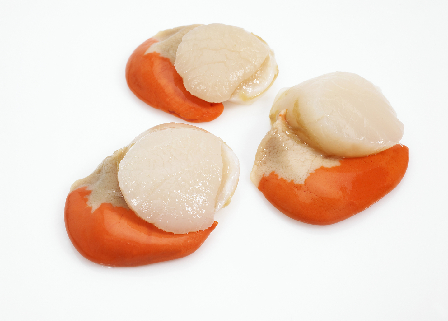 NOIX DE SAINT-JACQUES - FRUITS DE MER ET CRUSTACÉS - LA PAYSANNE DES MERS