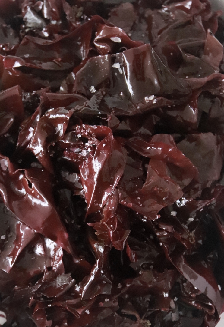 DULSE - ALGUES COMESTIBLE ET VÉGÉTAUX MARINS - LA PAYSANNE DES MERS
