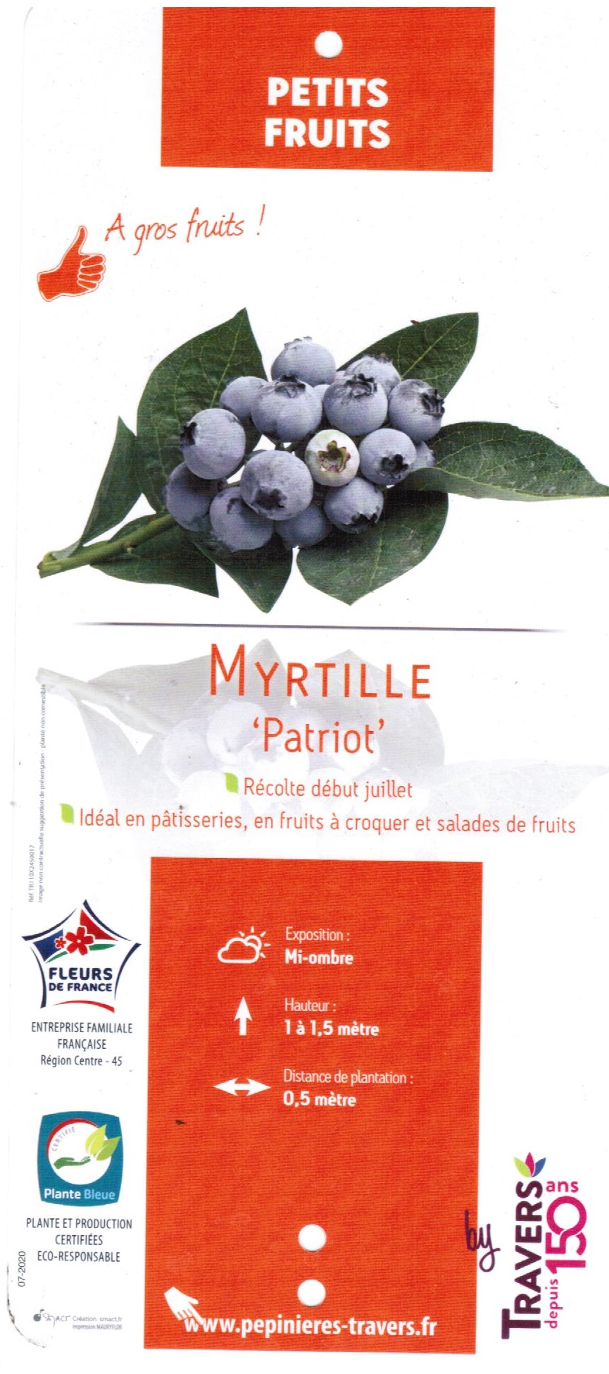 Myrtillier et petits fruits rouges
