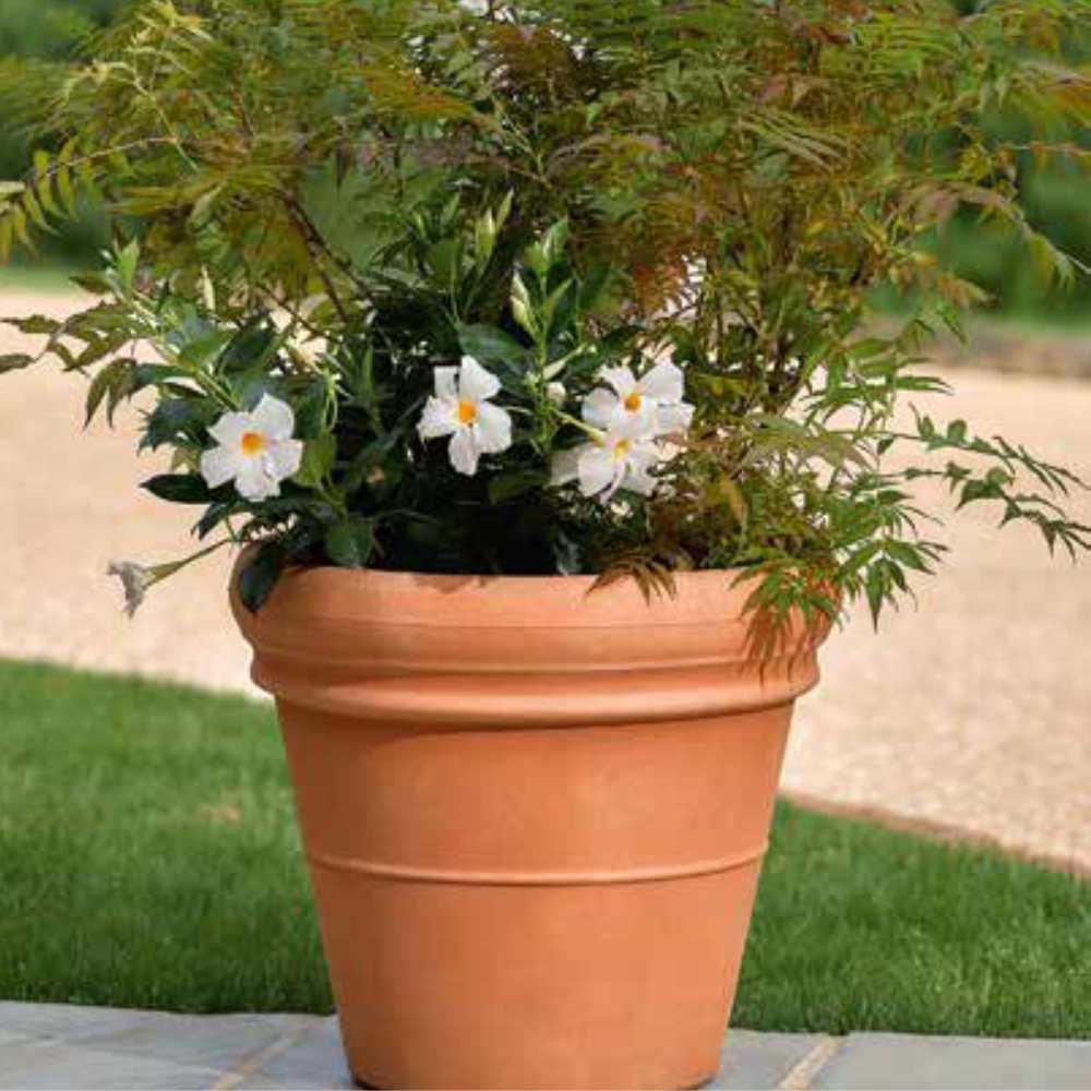 Pots et poteries - La Jardinerie de Pessicart