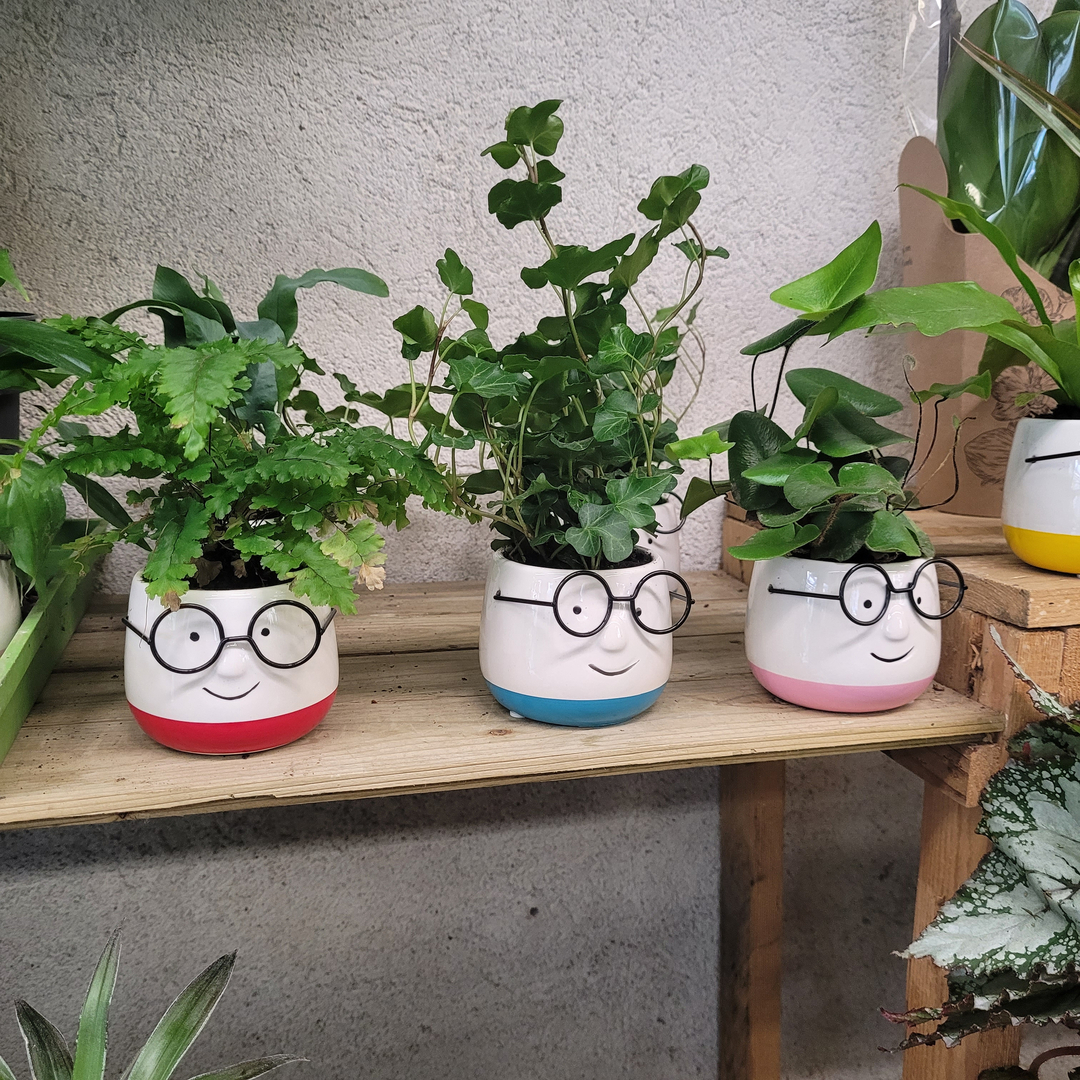 Pot Visage - Déco/Cache-pots - La Jardinerie de Pessicart