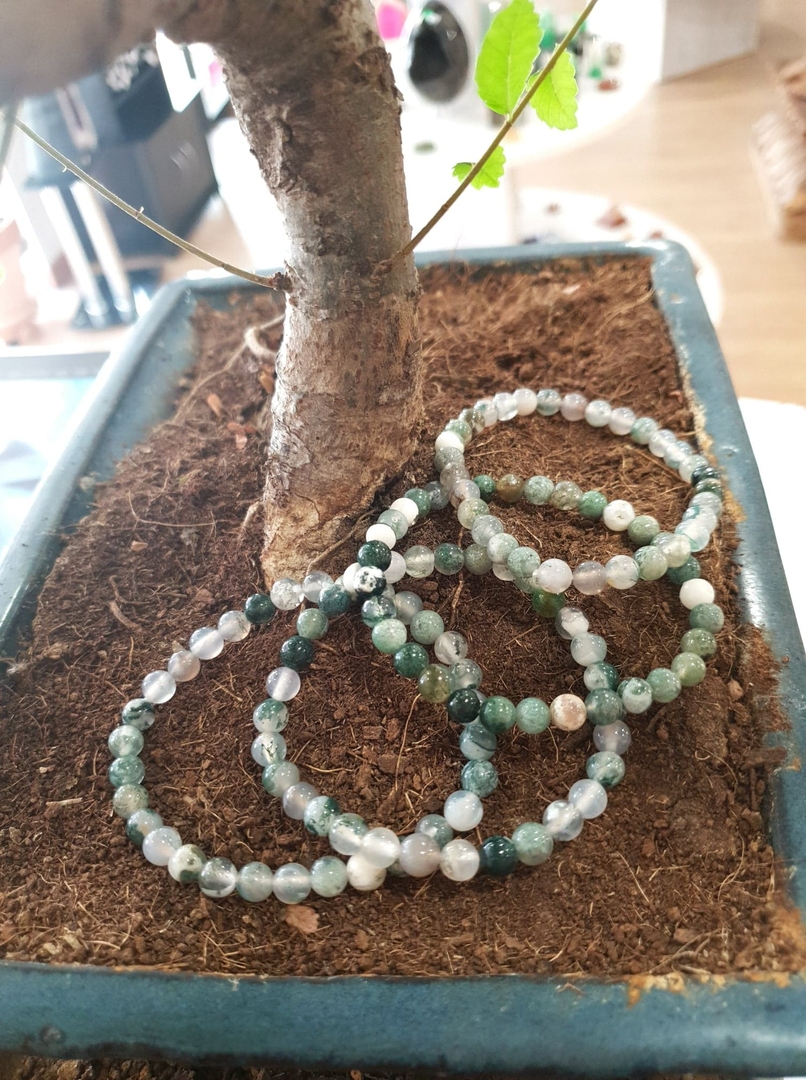 Bracelet en Agate Arbre - Liste de nos pierres/Agate Arbre - lithosud-fr