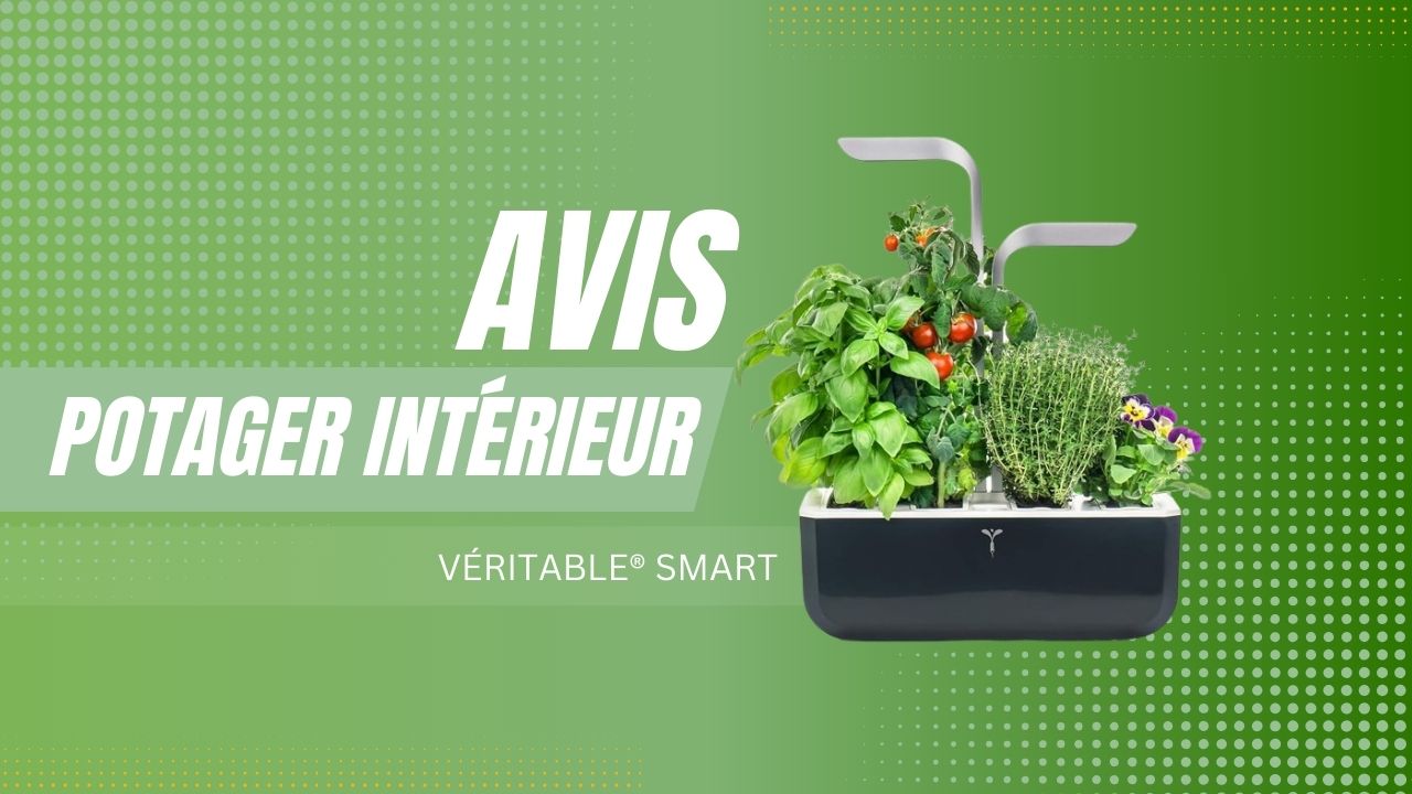 Potager d’intérieur Véritable® Smart : Présentation et Avis