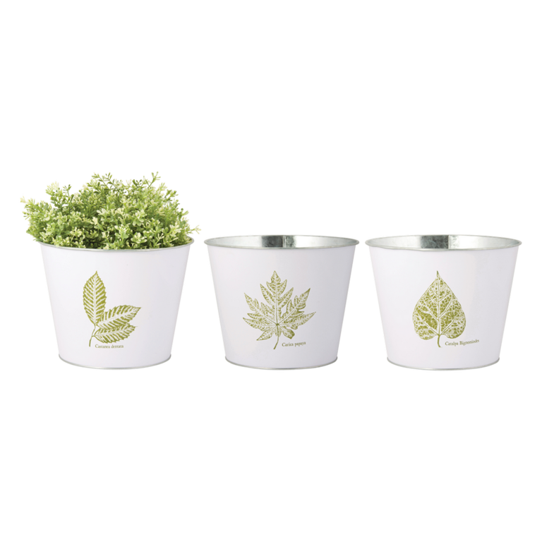 Cache-pot zinc blanc / Feuille de Catalpa / Design contemporain