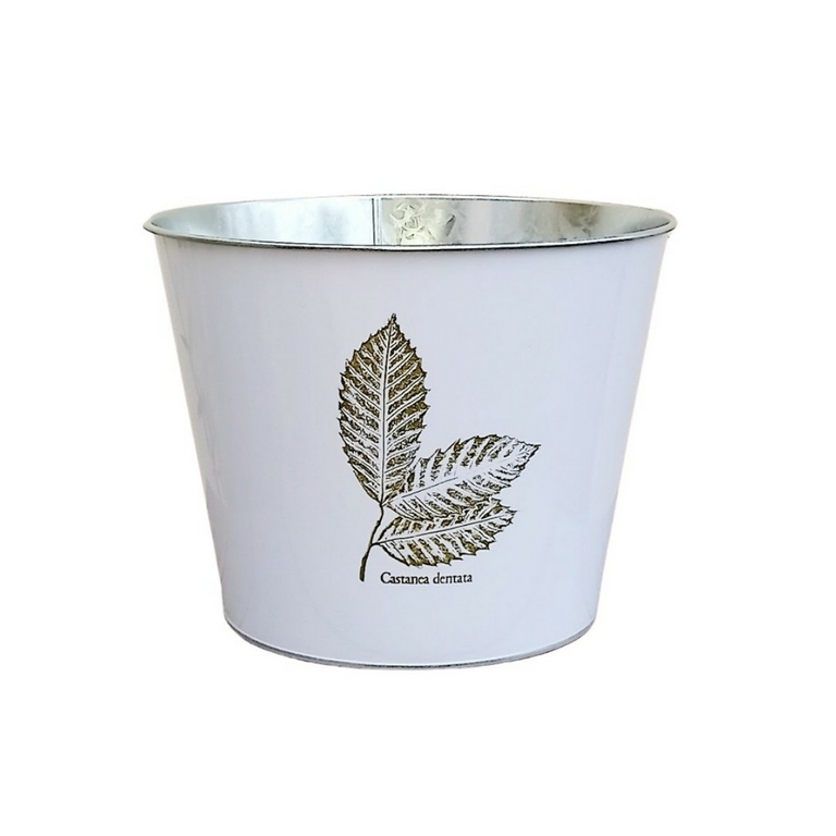 Cache-pot en zinc / Feuille de castanca dentata ou châtaignier