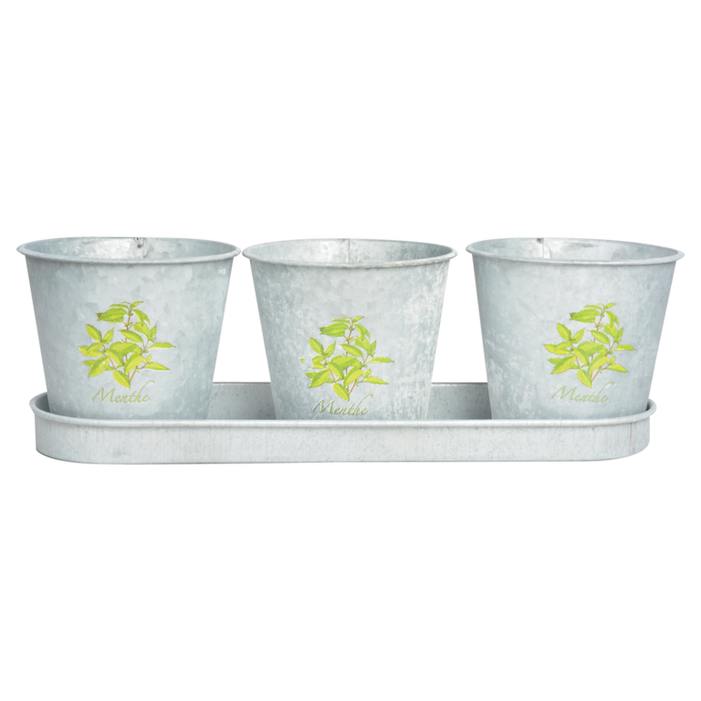 3 cache-pots sur plateau / Zinc vieilli / Dessin botanique menthe