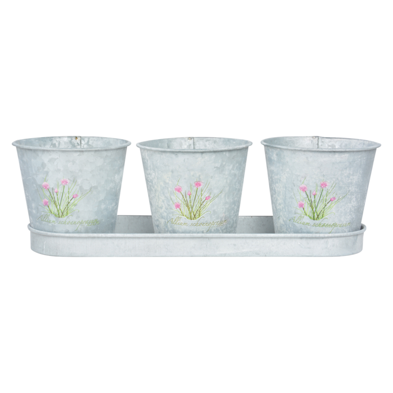 3 cache-pots sur plateau / Zinc patiné / Déco botanique allium