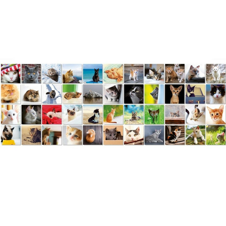 Jeu de Memory / Cats - Chats / 44 images / Dès 6 ans et adultes
