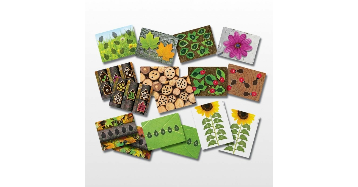 Cartes éducatives Apprendre à compter pour les pierres Coccinelles ...