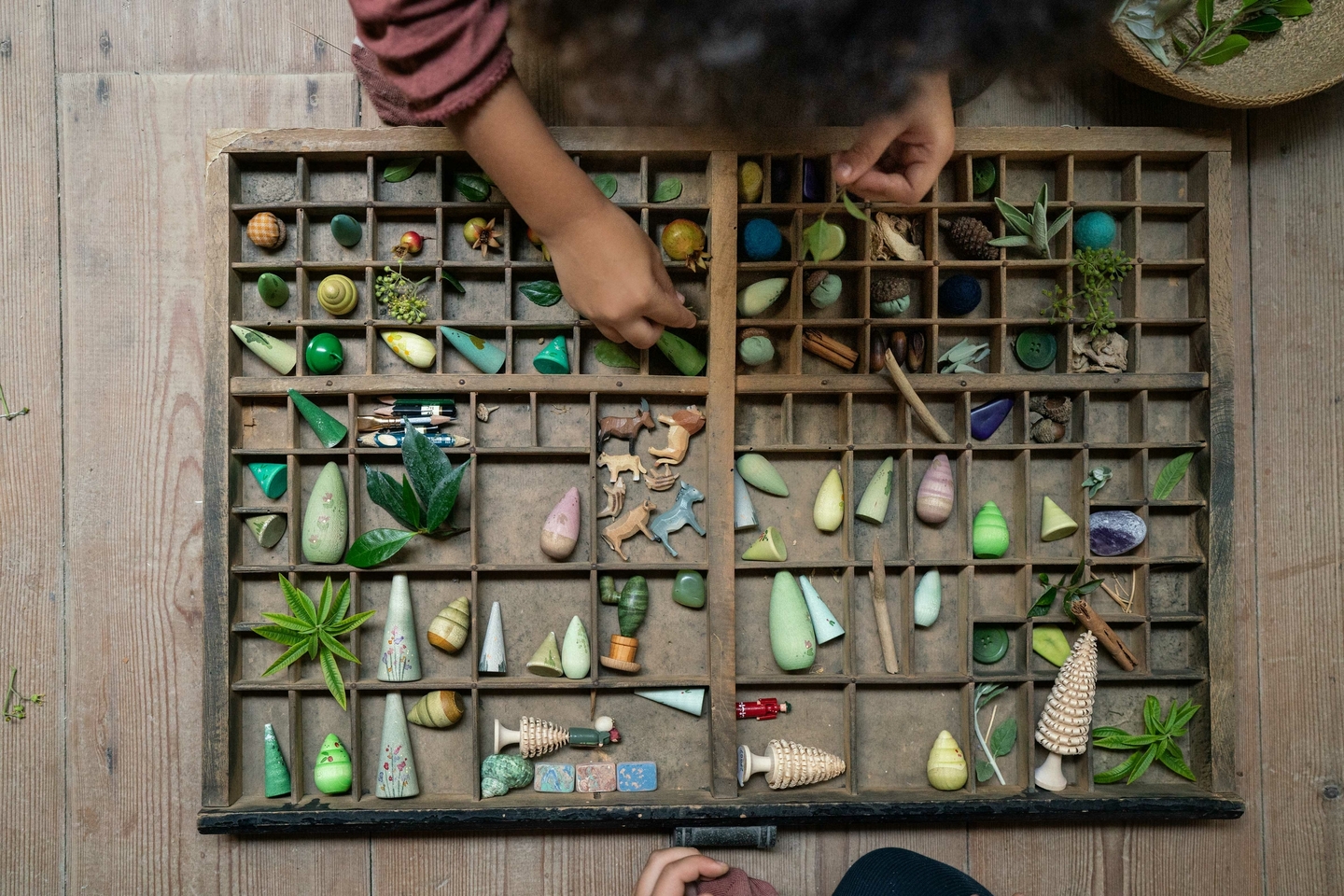 Grapat Forest Tree - Lot de 18 - Chouchous.fr