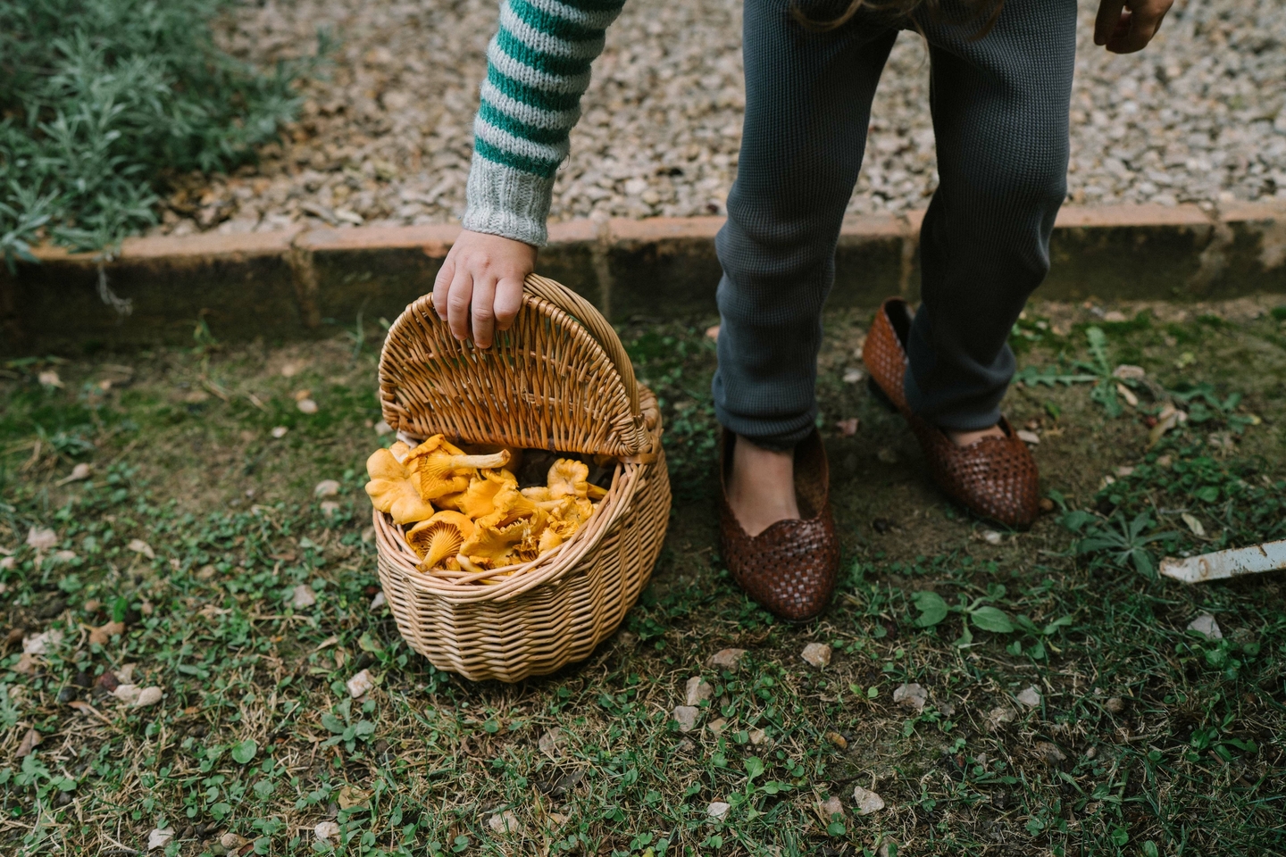 Grapat Mushroom Grow - Lot de 18 - Nos marques Chouchous/Jouets GRAPAT ...