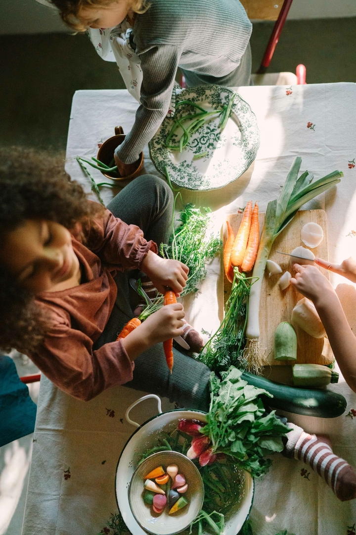 Grapat Veggies Légumes - Lot de 12 - Nos marques Chouchous/Jouets ...