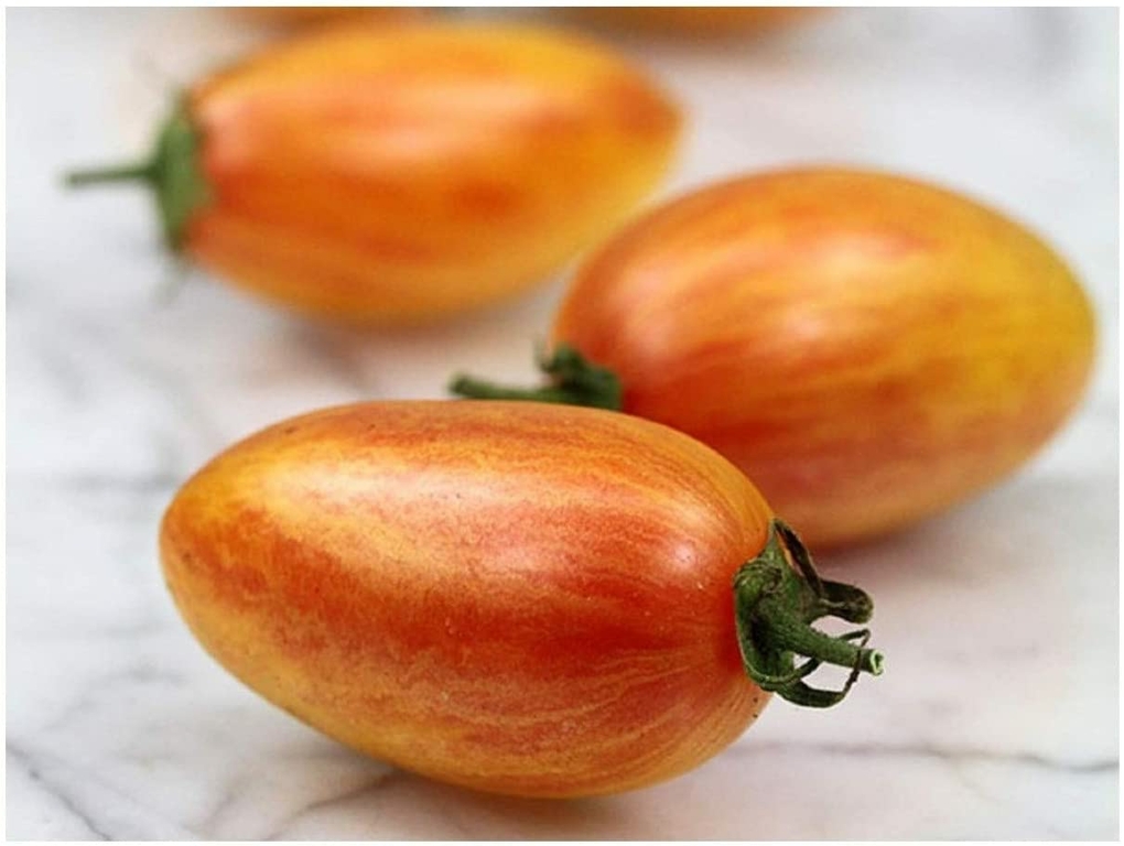 Tomate Flammée Blush - Tomates/Tomates pour fin Gourmets - Graines de ...