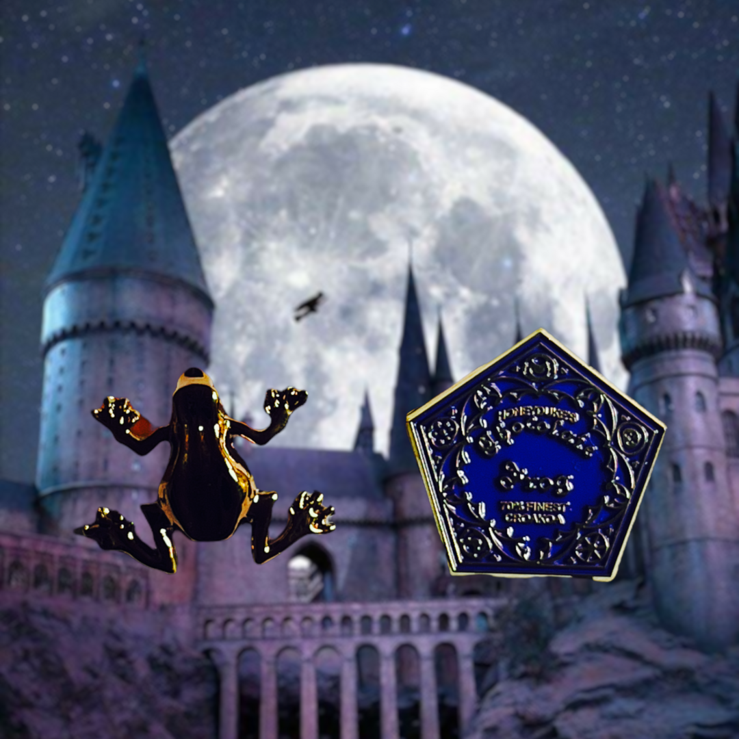 Harry Potter - Chocolate frog : Pin's en métal