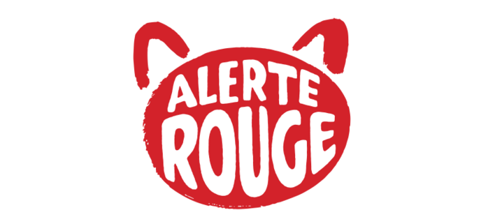 Disney Pixar : Alerte Rouge - Le Palais des Goodies