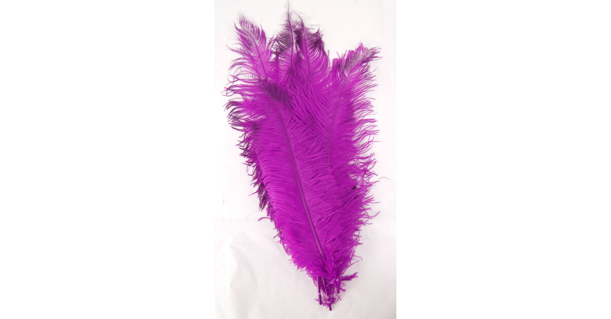 Plume autruche - 50/60 cm - 3 pcs - fushia - Plume/Autruche - Plume Marcy