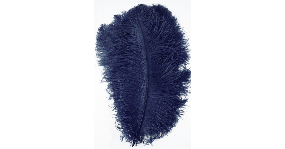 Plume autruche luxe 50/60 cm - marine - Plume/Autruche - Plume Marcy