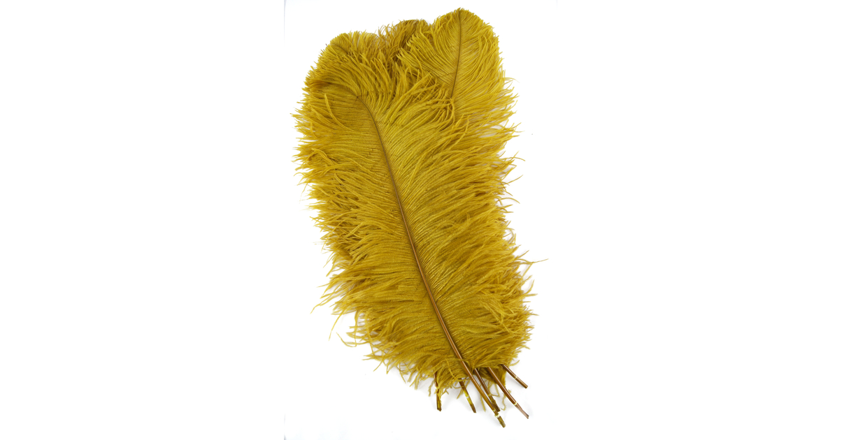 Plume autruche Luxe 50/60 cm - moutarde - Plume Marcy