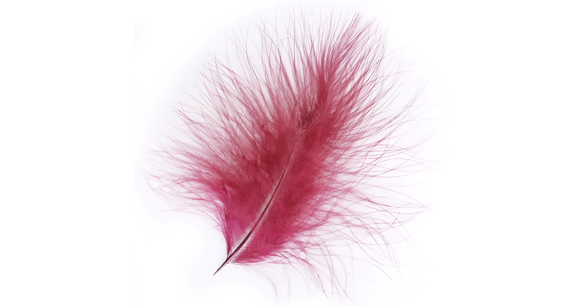 plume de dinde duveteuse pour accessoires et décoration
