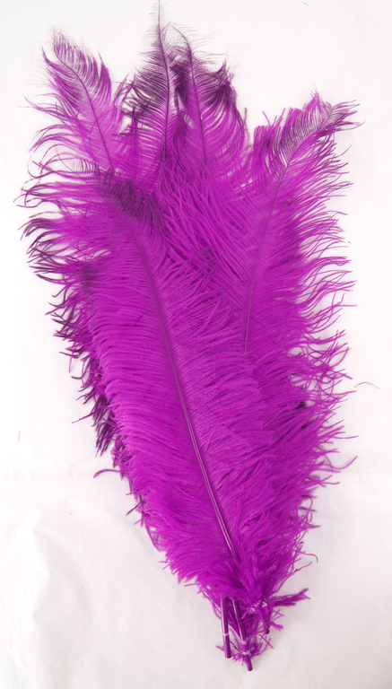 Plume autruche - 50/60 cm - 3 pcs - fushia - Plume/Autruche - Plume Marcy
