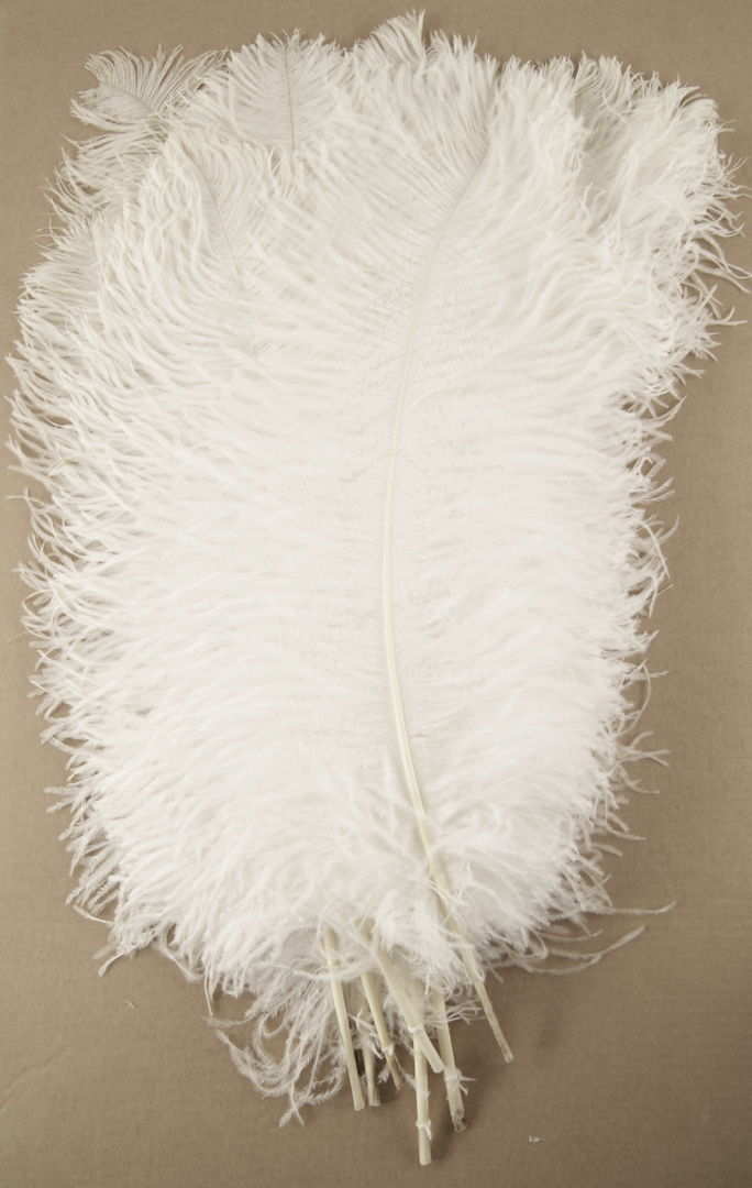 Plume autruche luxe 50/60 cm - ivoire - Plume/Autruche - Plume Marcy