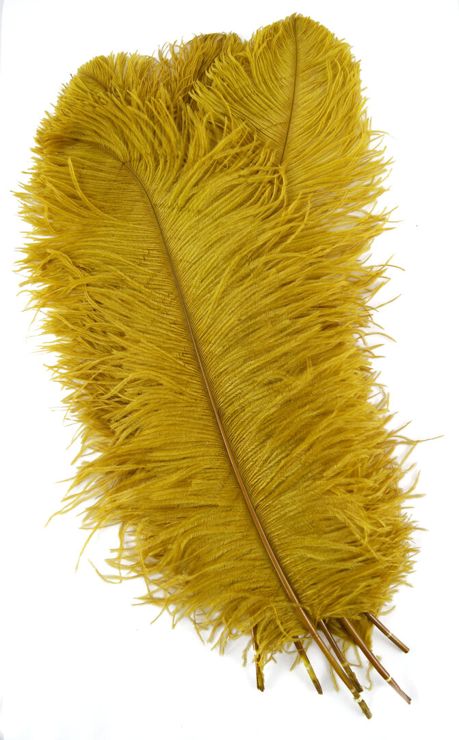 Plume autruche Luxe 50/60 cm - moutarde - Plume Marcy