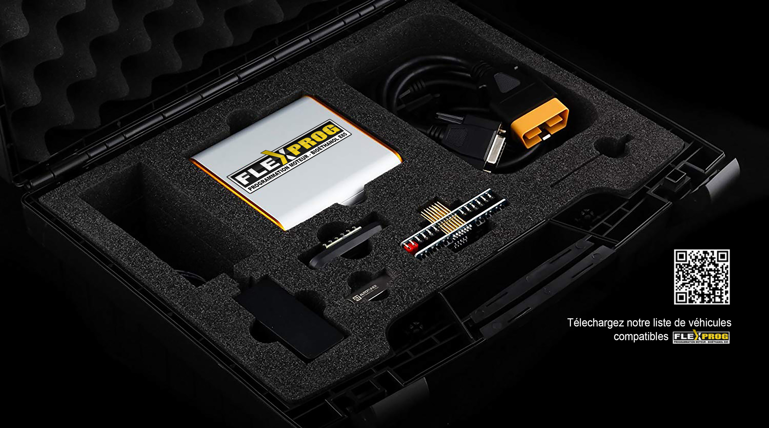 FLEXPROG Reprogrammation moteur et conversion FlexFuel E85