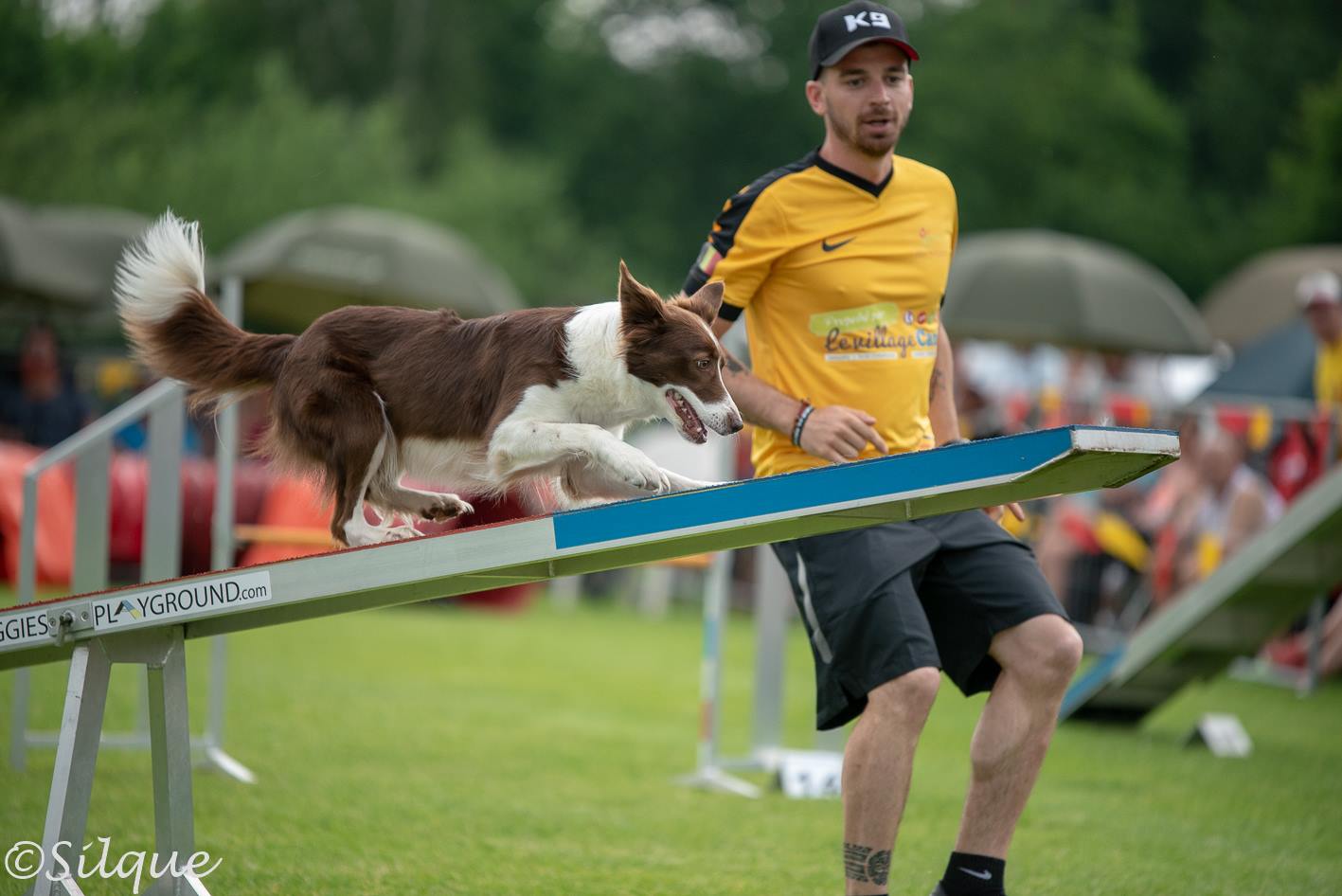 Sponsoring - Village Canin