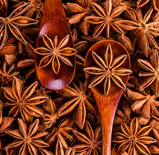 ANIS ÉTOILÉ - ÉPICE GRAIN / SEMI - epices & love