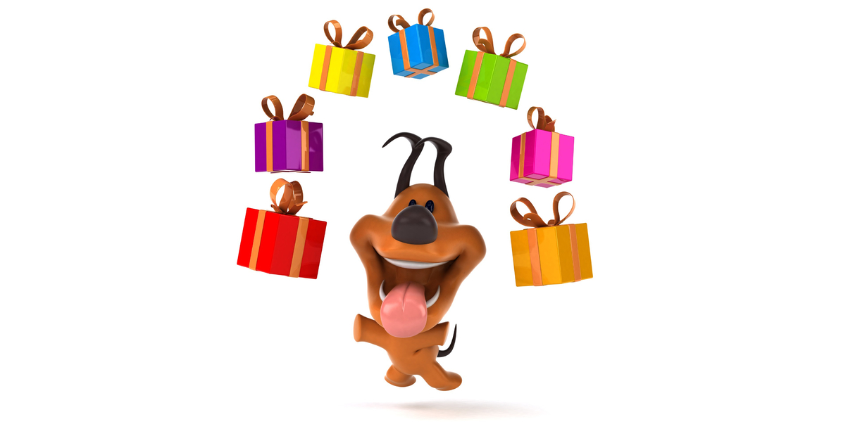 Box surprise pour chiens - Petits Compagnons