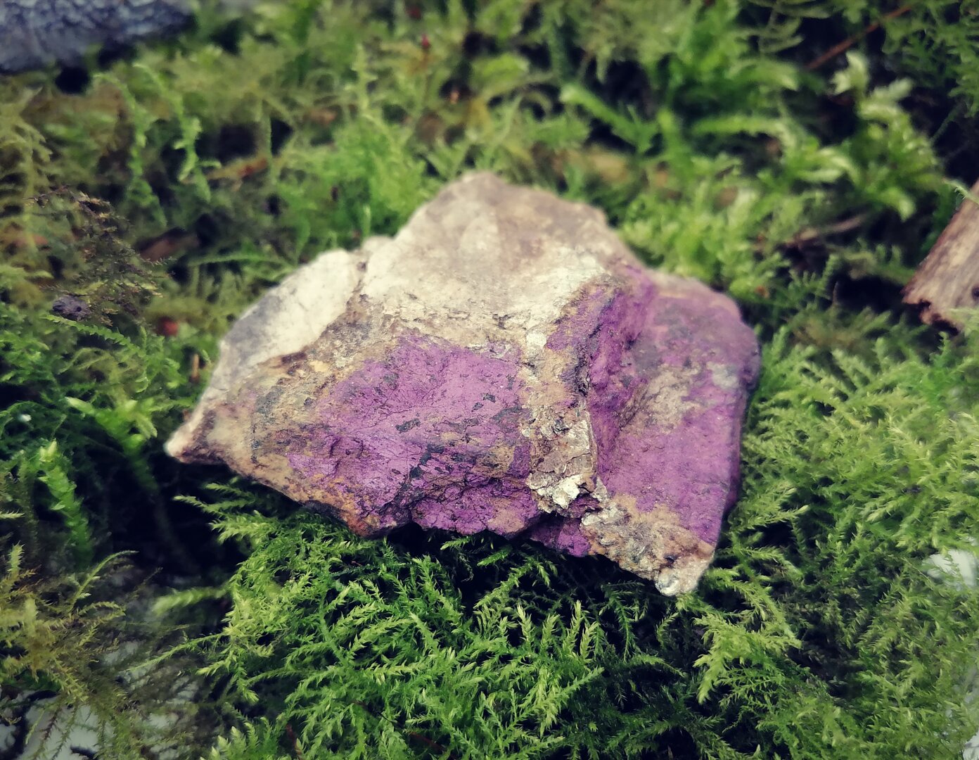 Purpurite - Minéraux/Pierres Brutes - Calliste Herboristerie
