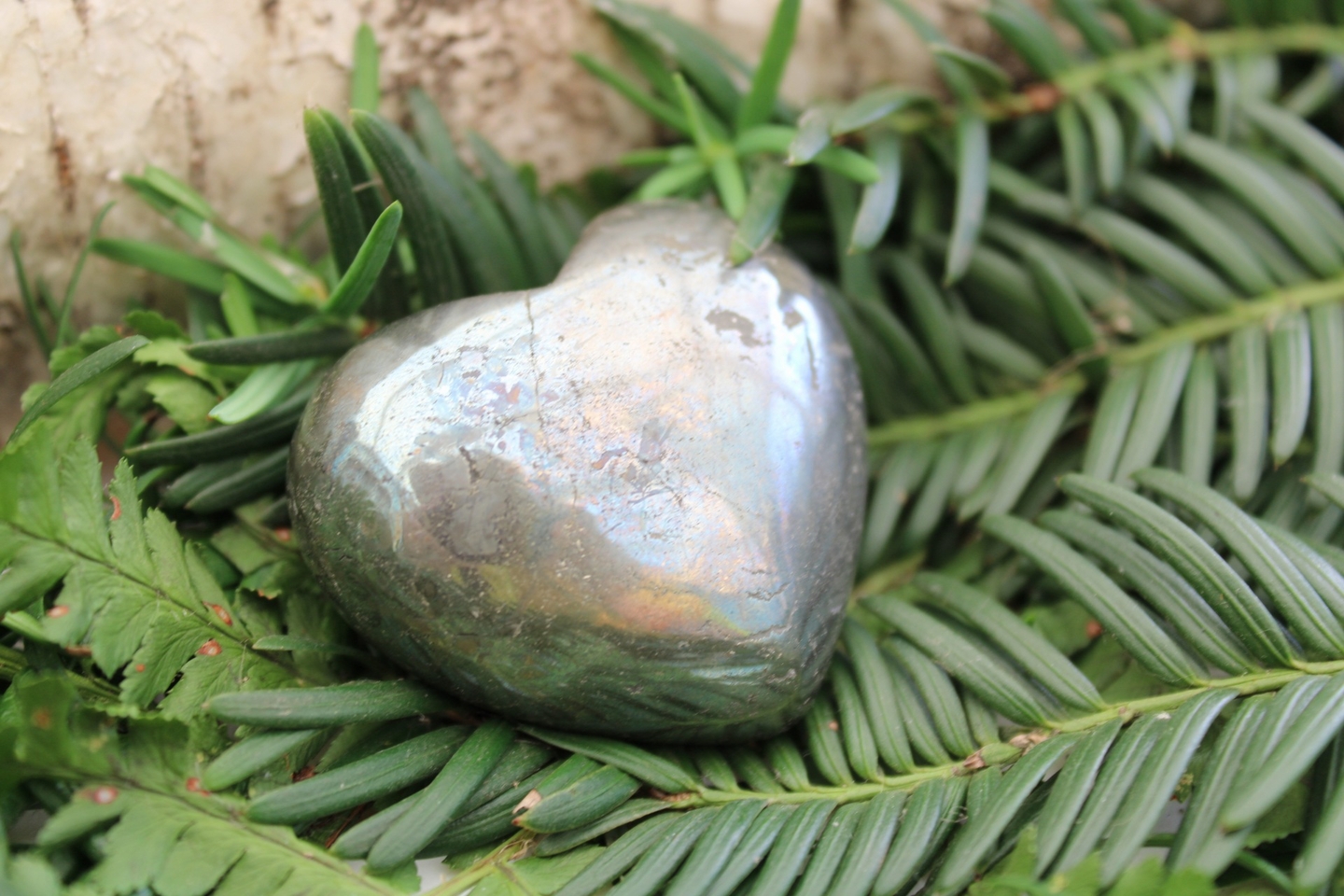 Coeur en Pyrite - Pierres Polies/Coeurs - Calliste Herboristerie