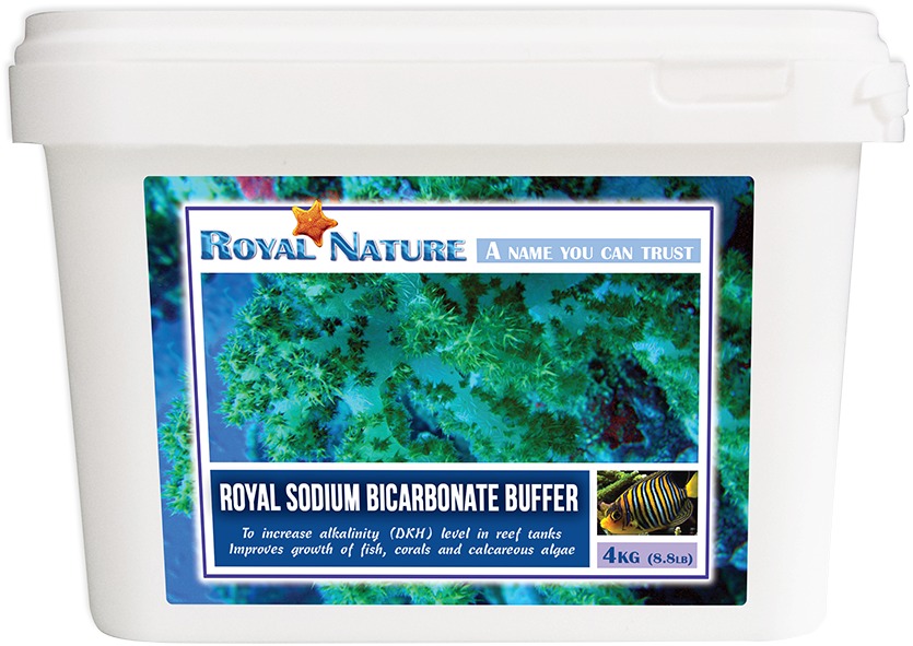 ROYAL NATURE Royal Sodium Bicarbonate Buffer 4 kg Bicarbonate de Soude ...