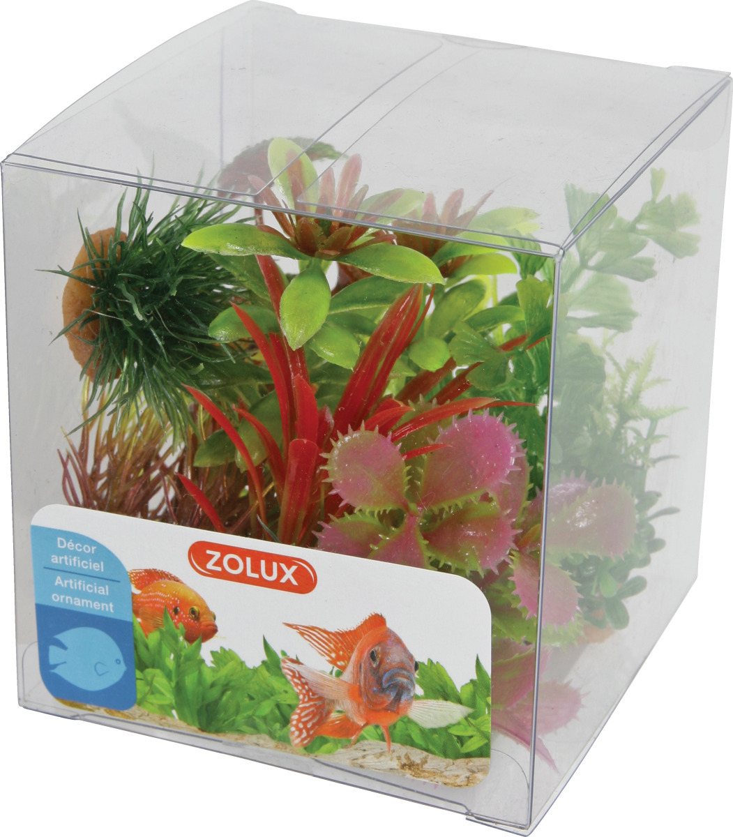 ZOLUX Boîte Mix 1 - Lot de 4 petites plantes artificielles 4 à 10 cm ...
