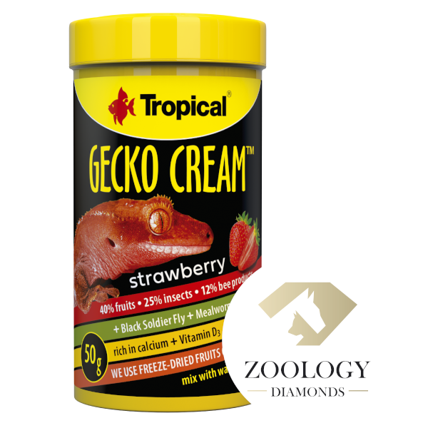 TROPICAL Gecko Cream Strawberry 100 ml nourriture avec Fraise et ...
