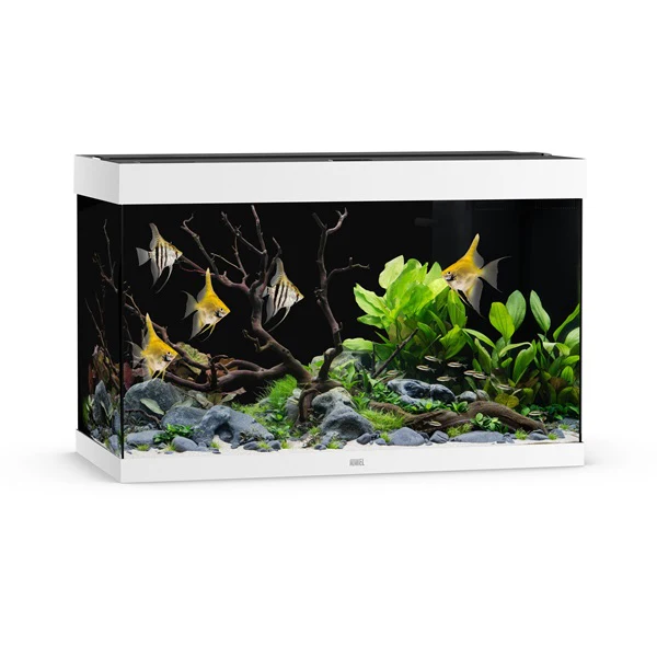 JUWEL Rio 290 LED Blanc aquarium équipé 101 x 51 x 66 cm 290 L ...