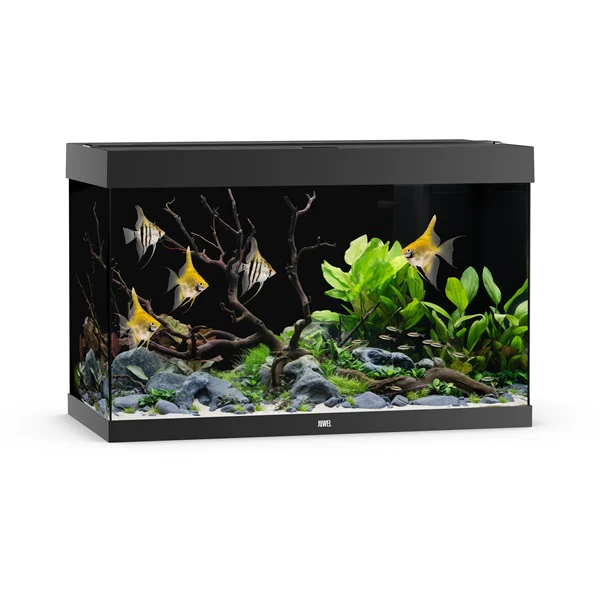 JUWEL Rio 290 LED Noir aquarium équipé 101 x 51 x 66 cm 290 L ...