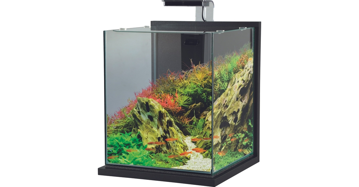 ZOLUX Jalaya XXL Gris Anthracite 31,5 L kit nano-aquarium équipé avec ...