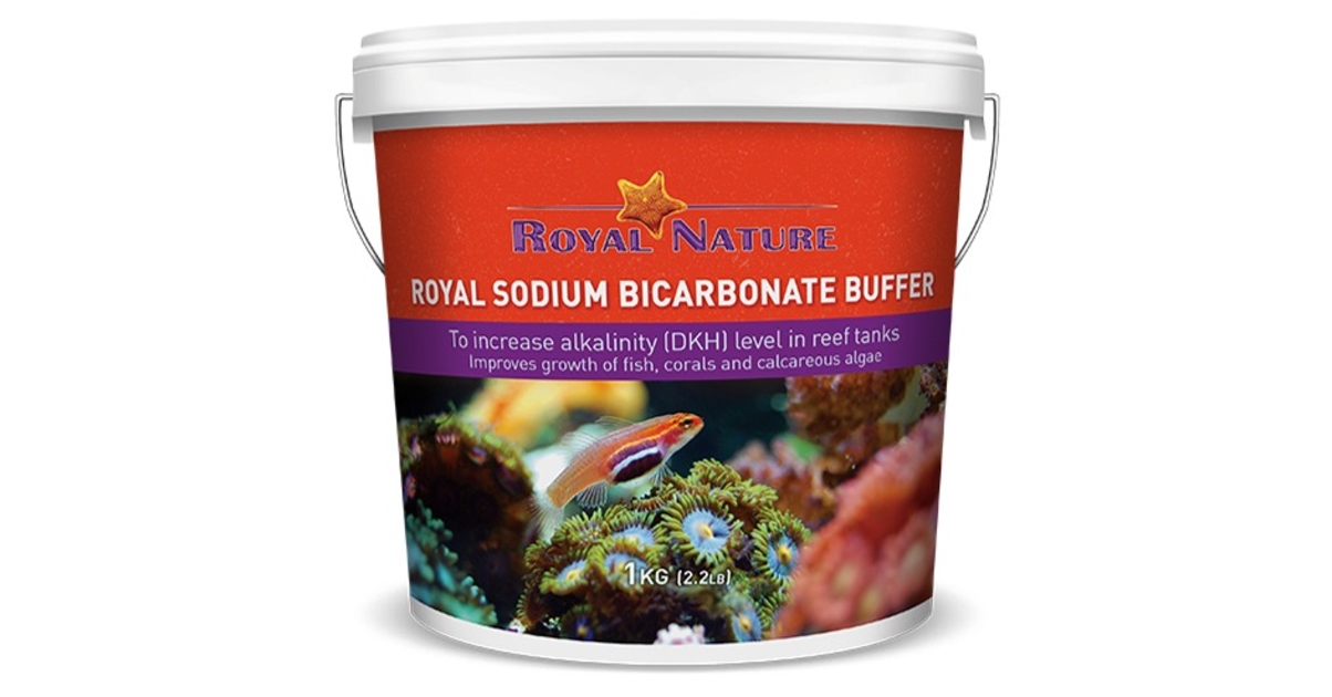 ROYAL NATURE Royal Sodium Bicarbonate Buffer 1 kg Bicarbonate de Soude ...