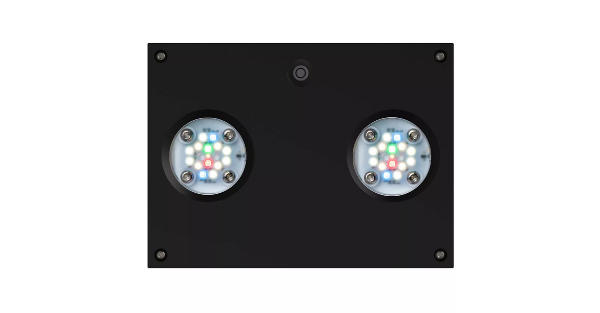 AI Hydra 32 HD Freshwater Black 95W rampe LEDs haute puissance pour l ...