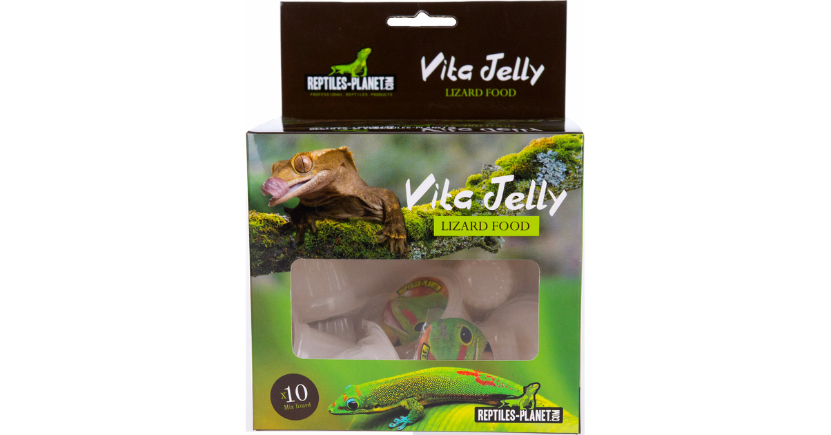 REPTILES PLANET Vita Jelly Protein Lizard lot de 10 pots complément ...