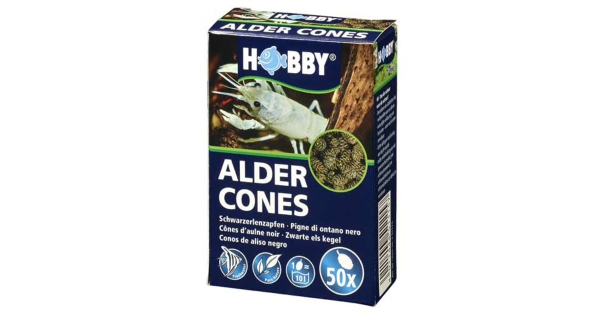 HOBBY Alder Cones lot de 50 cônes d'Aulnes Noir pour poissons et ...