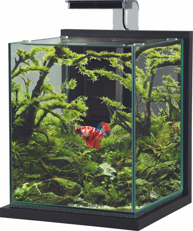 ZOLUX Jalaya XL Gris Anthracite 18,7 L kit nano-aquarium équipé avec ...