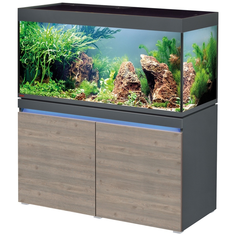 EHEIM Incpiria 430 LED Graphite / Chêne Rustique kit aquarium 130 cm 430 L avec meuble et ...