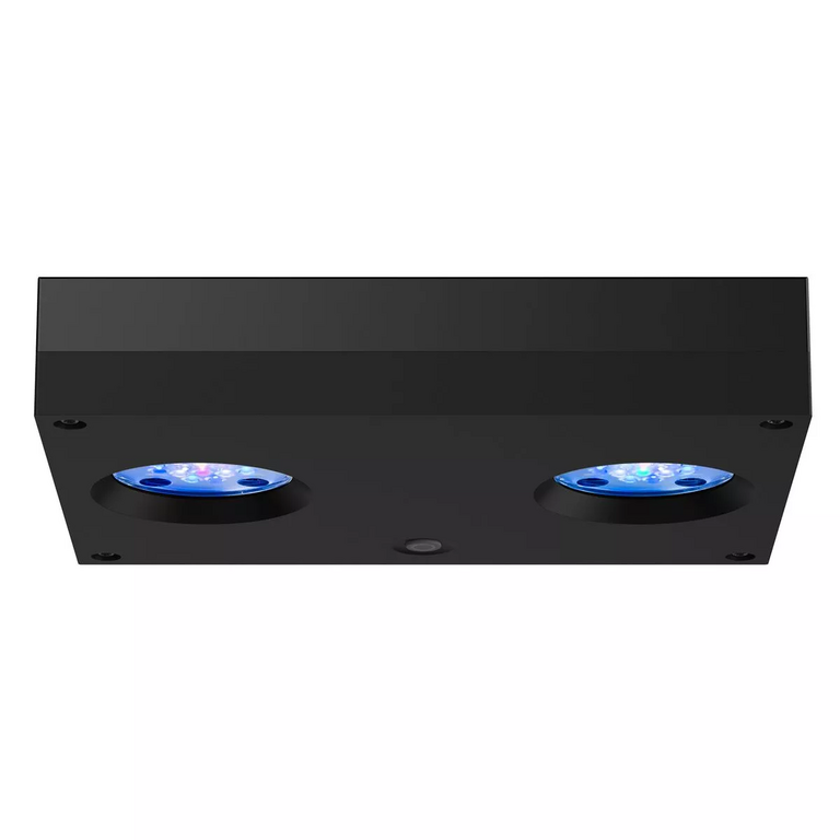 AI Hydra 32 HD Freshwater Black 95W rampe LEDs haute puissance pour l ...