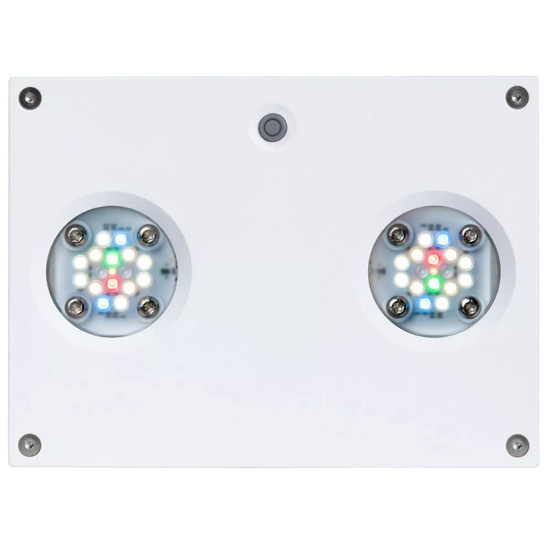 AI Hydra 32 HD Freshwater White 95W rampe LEDs haute puissance pour l ...