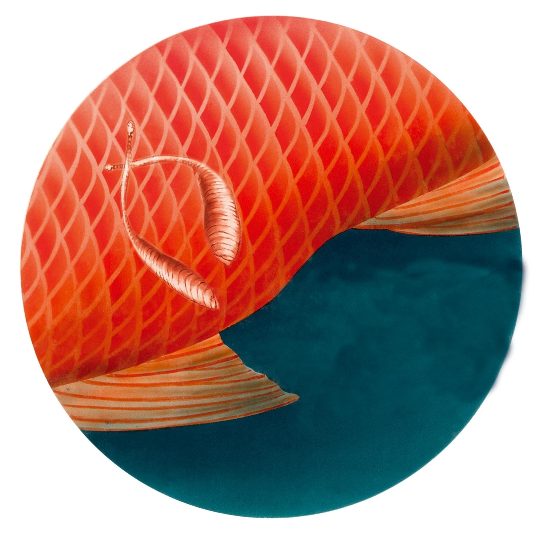 SANIKOI Paratex 250 ml médicament pour poissons de bassin contre les ...